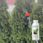 ConiFerin™ - Fertilizant BIO pentru Conifere și TUIA – Ghidul Gospodarului
